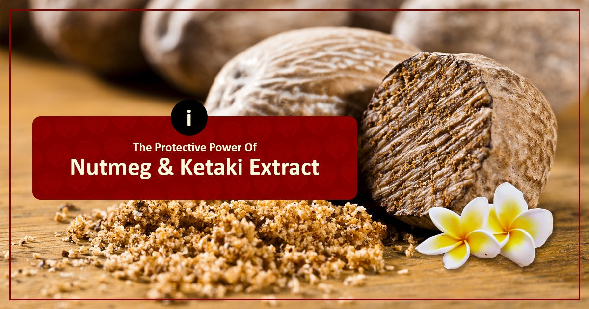 Nutmeg And Ketaki Flower As Natural SPF| Nutmeg And Ketaki Flower